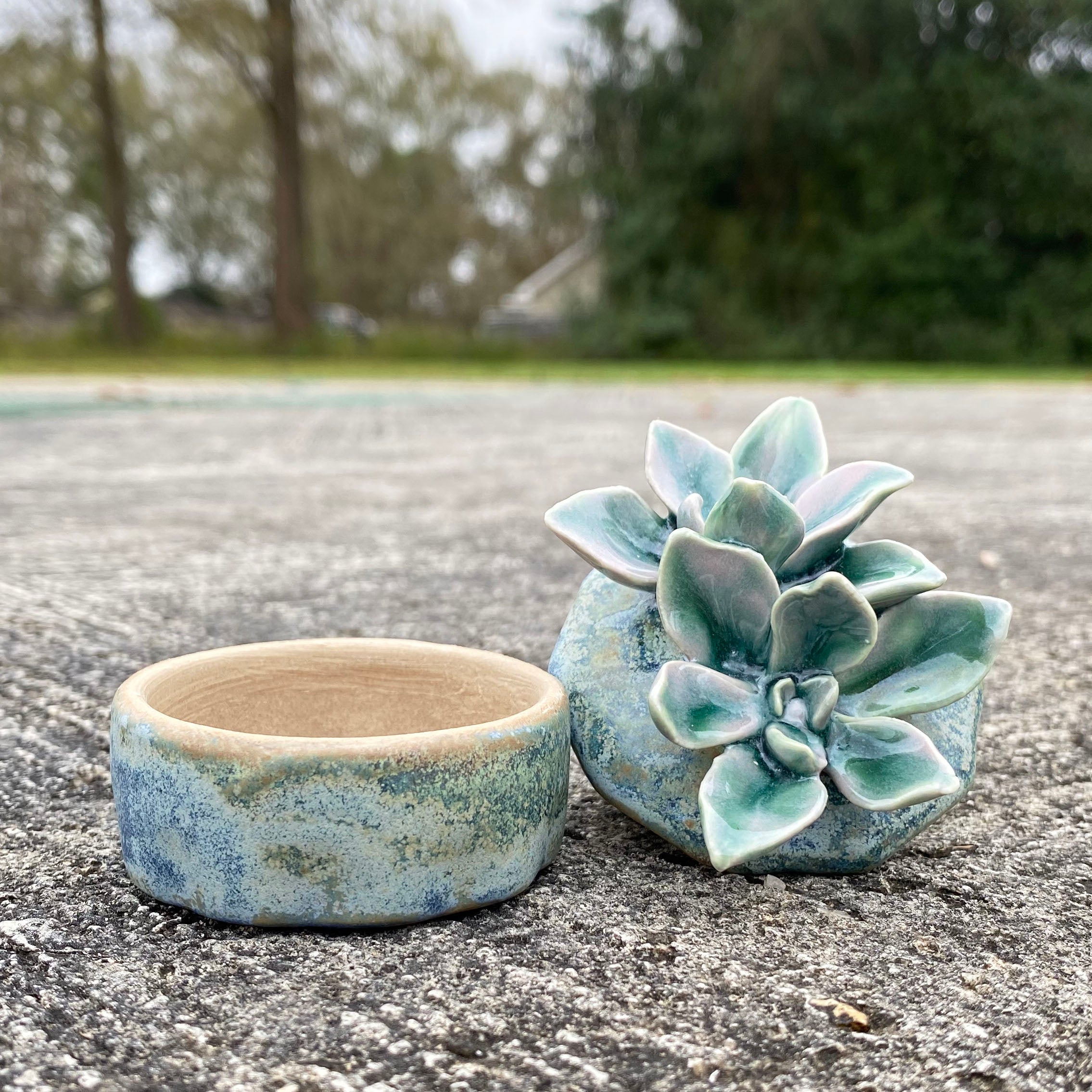 Succulent Box | Vixon's Pottery